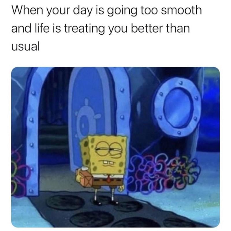 I don't trust this | SpongeBob SquarePants | Know Your Meme
