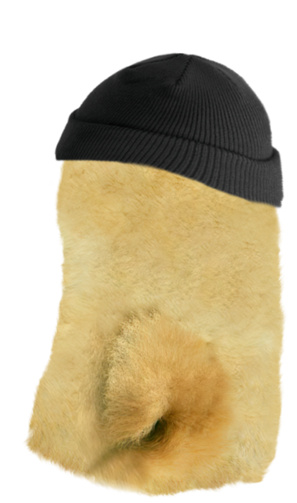 Big Bro Back | /r/dogelore | Ironic Doge Memes | Know Your Meme