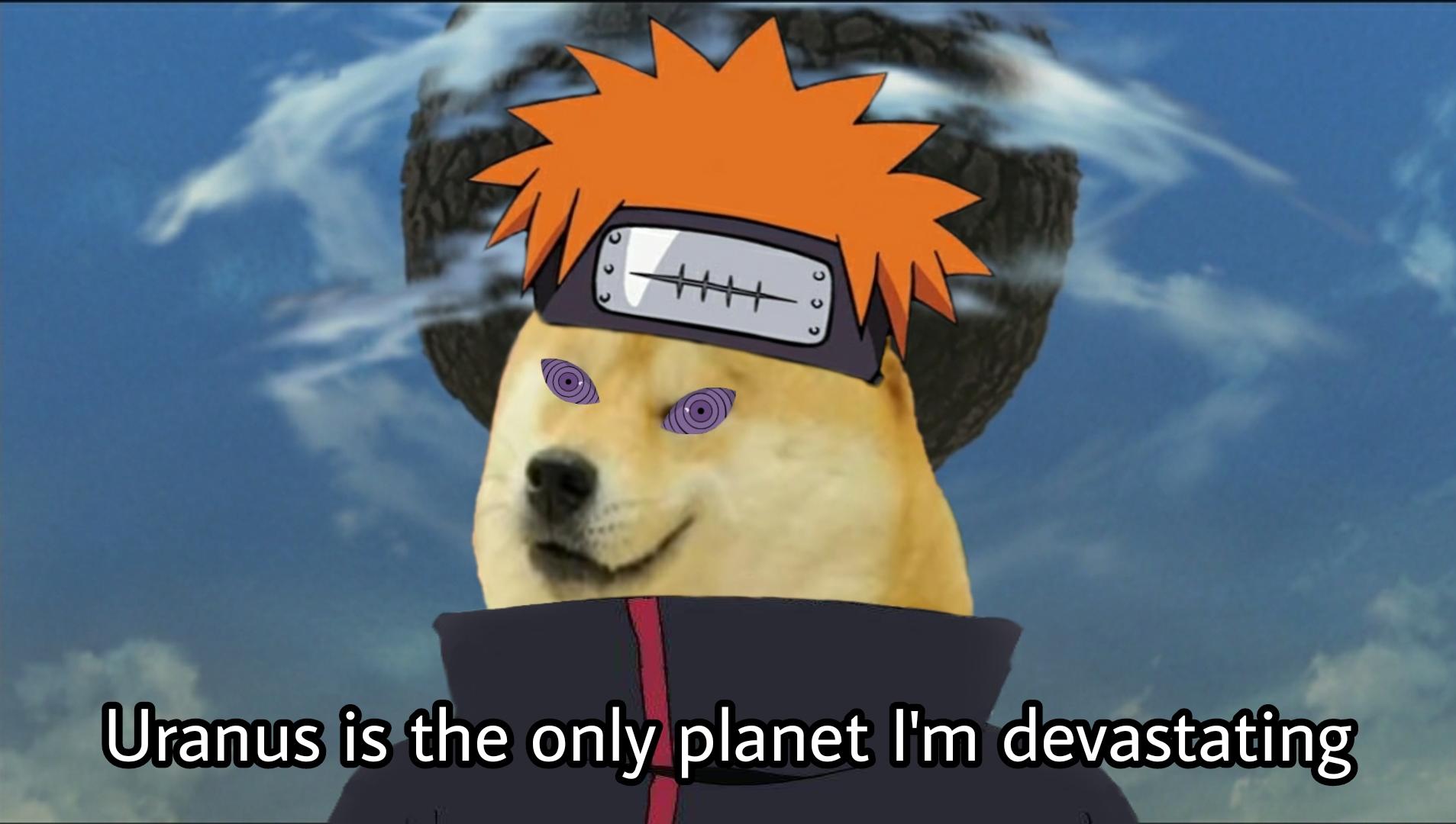 Le Pain has arrived | /r/dogelore | Ironic Doge Memes | Know Your Meme