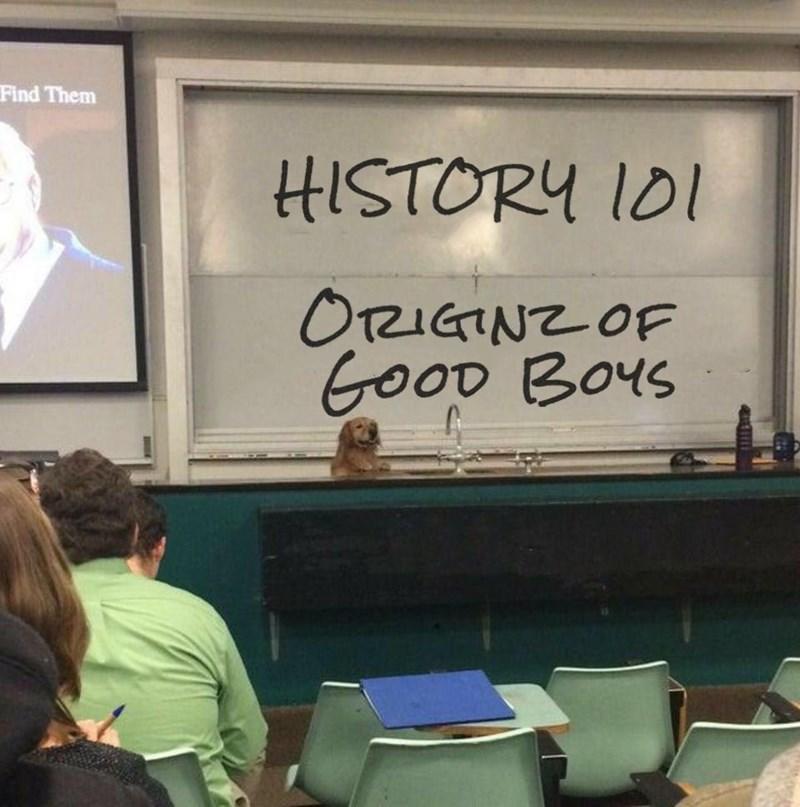 My favorite class | Dogs | Know Your Meme