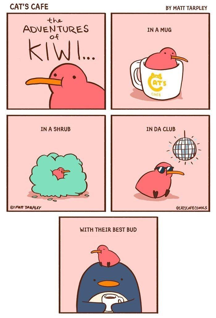 An adventurous day, indeed! | /r/wholesomememes | Wholesome Memes ...