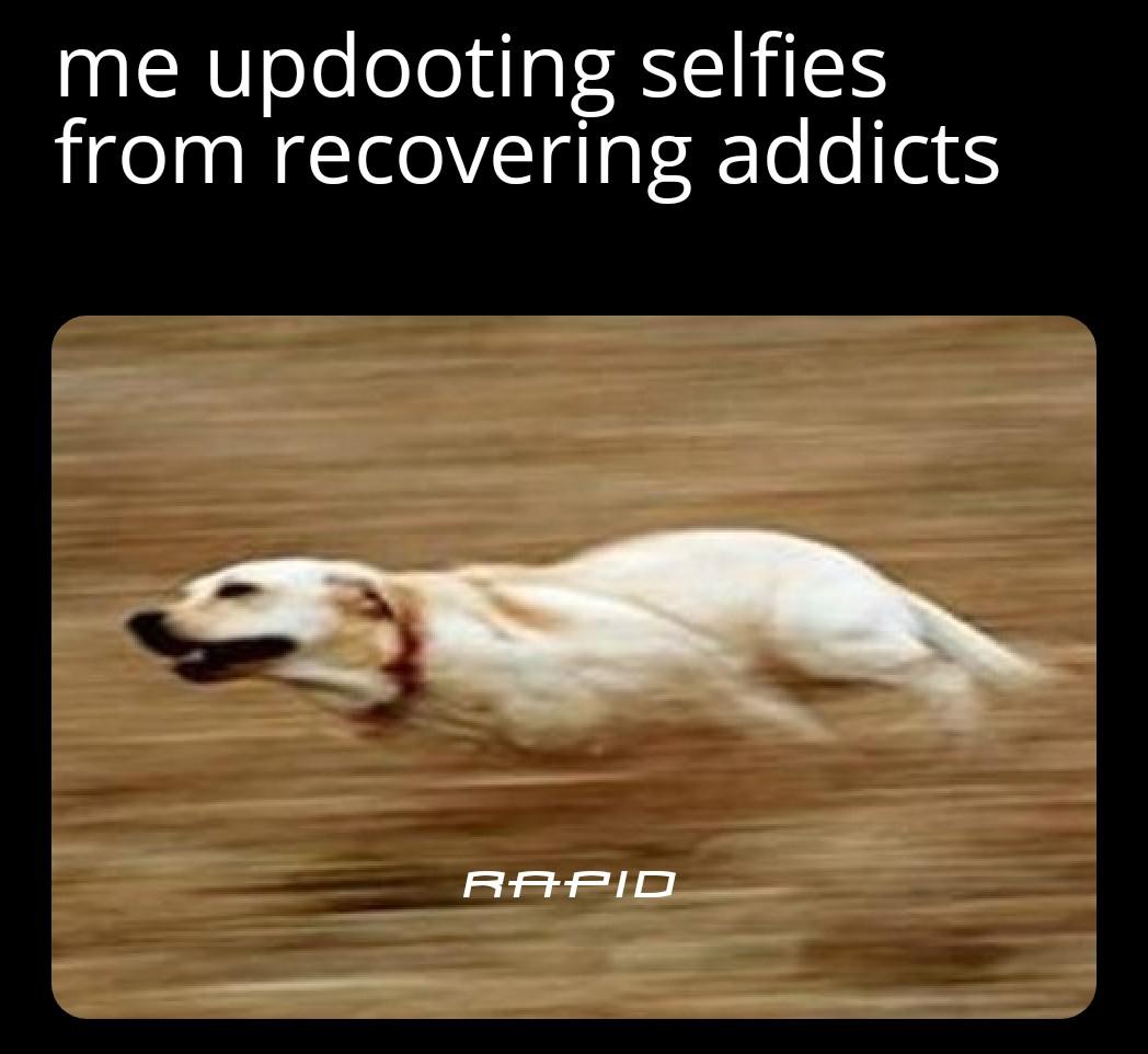 Refreshing to see recovery rather than retribution | /r/wholesomememes ...