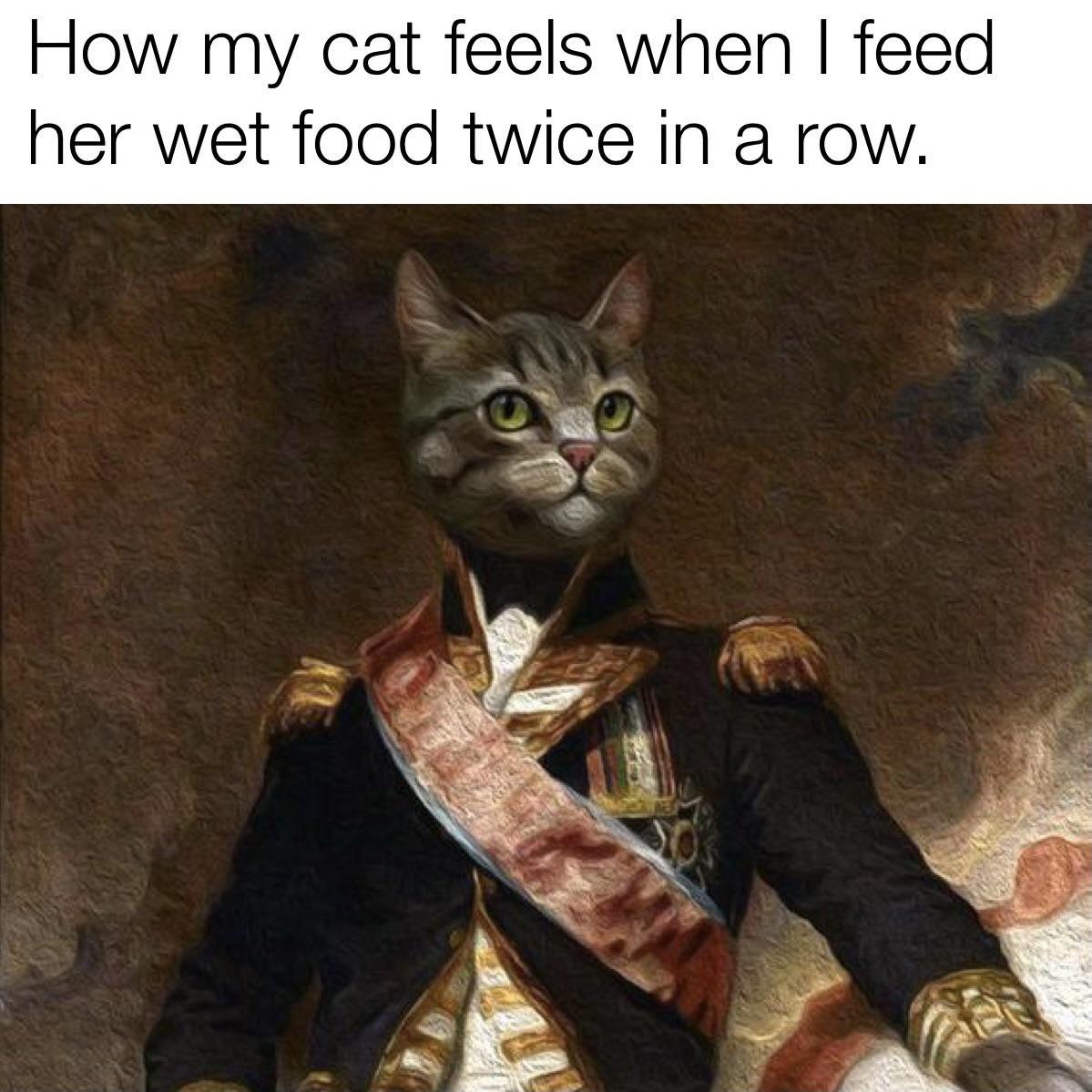 Her purrs like angelic music to my ears. | /r/wholesomememes ...