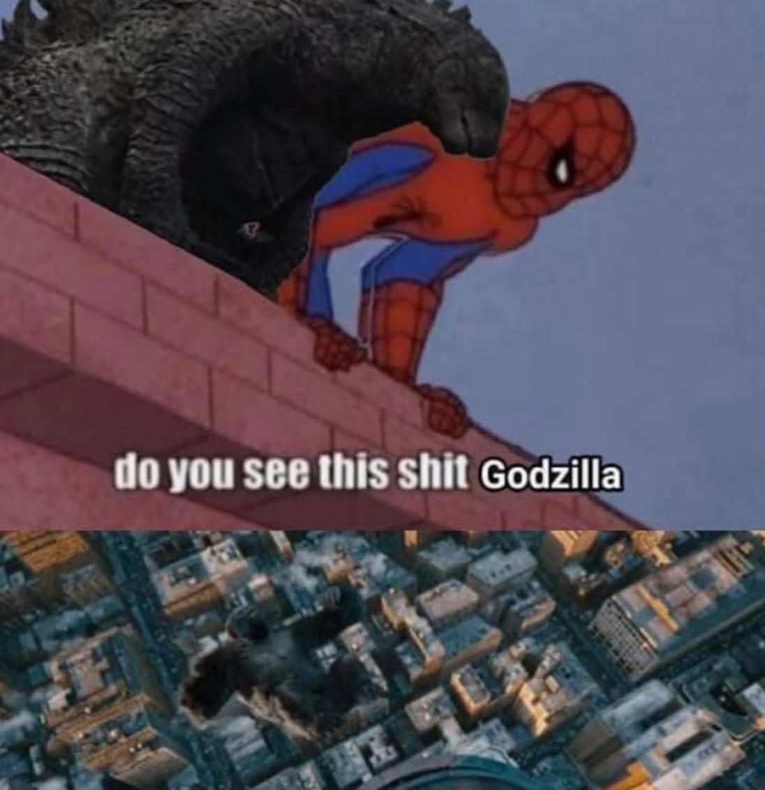 Monki fall | Godzilla vs. Kong | Know Your Meme
