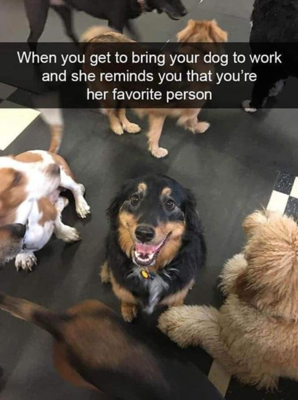 How do we make this a permanent thing | /r/wholesomememes | Wholesome ...