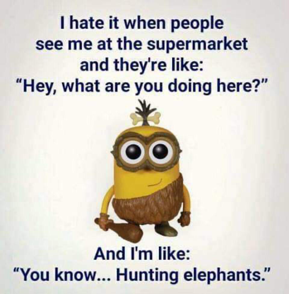 And I Hate It When People Use Minions | Know Your Meme