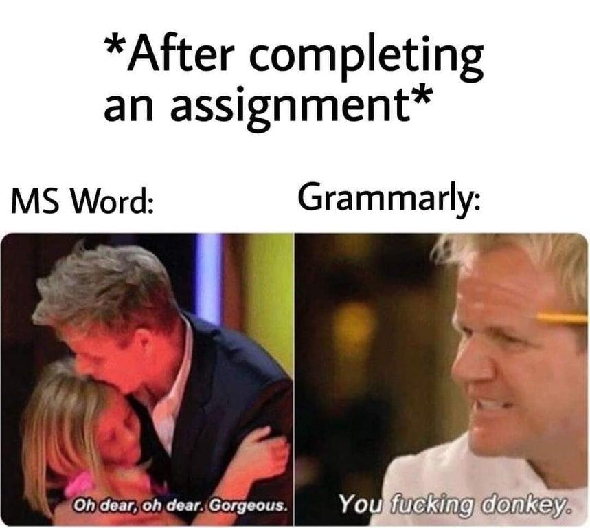 Did you even go to school | Grammarly | Know Your Meme