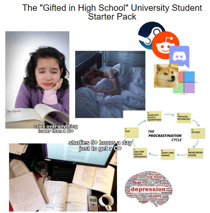 the "gifted in high school" university student starter pack | /r ...