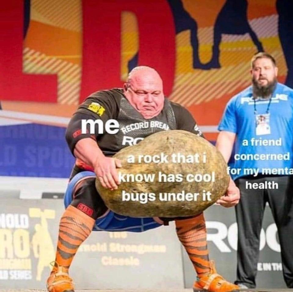 Cool Rock | Know Your Meme