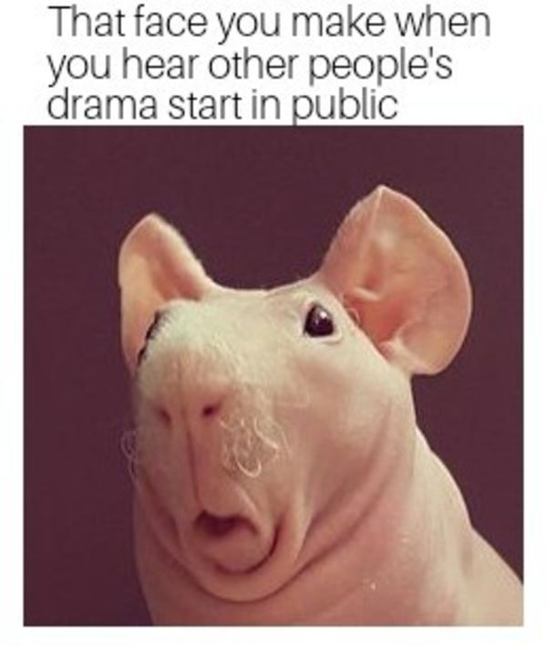 Subtle | Know Your Meme