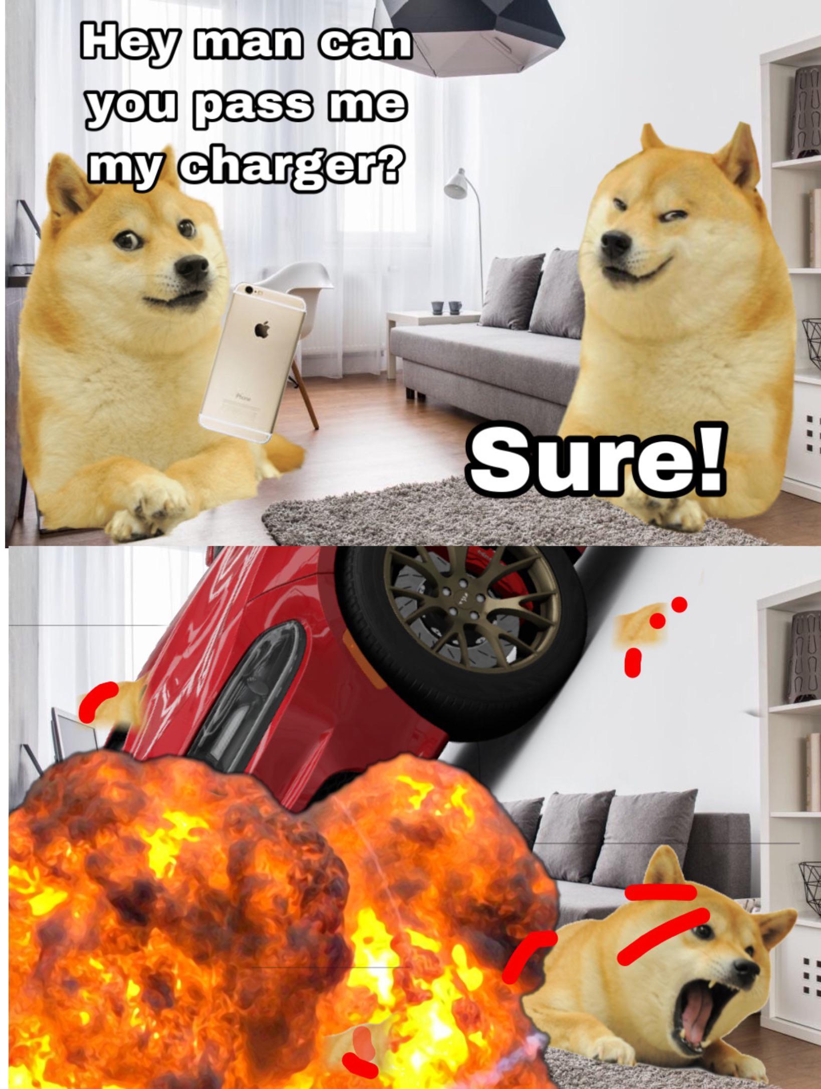 Vehicular manslaughter | /r/dogelore | Ironic Doge Memes | Know Your Meme