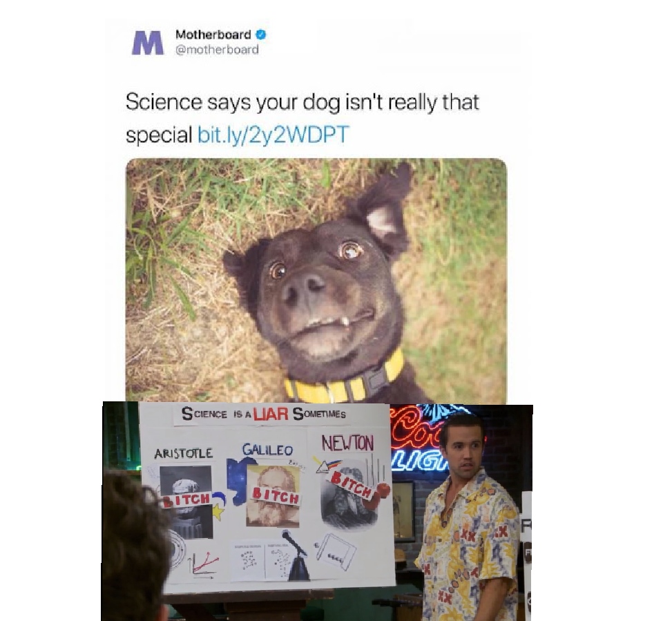 Stupid science bitch. | /r/IASIP | It's Always Sunny In Philadelphia ...