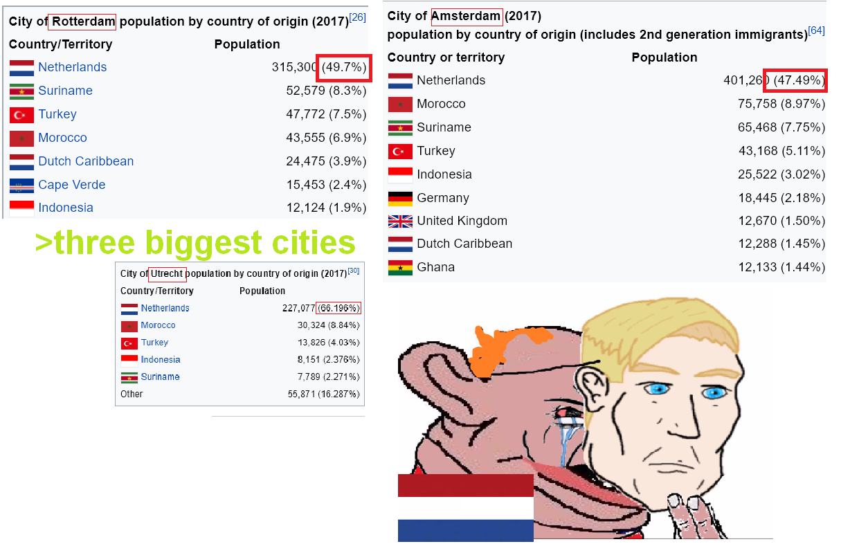 Netherlands demographics | Amerimutt / Le 56% Face | Know Your Meme