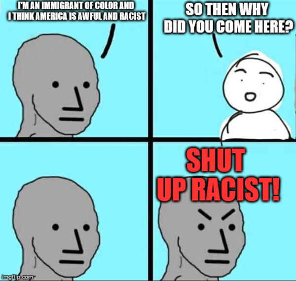 npc (immgration) | Angry NPC Wojak | Know Your Meme