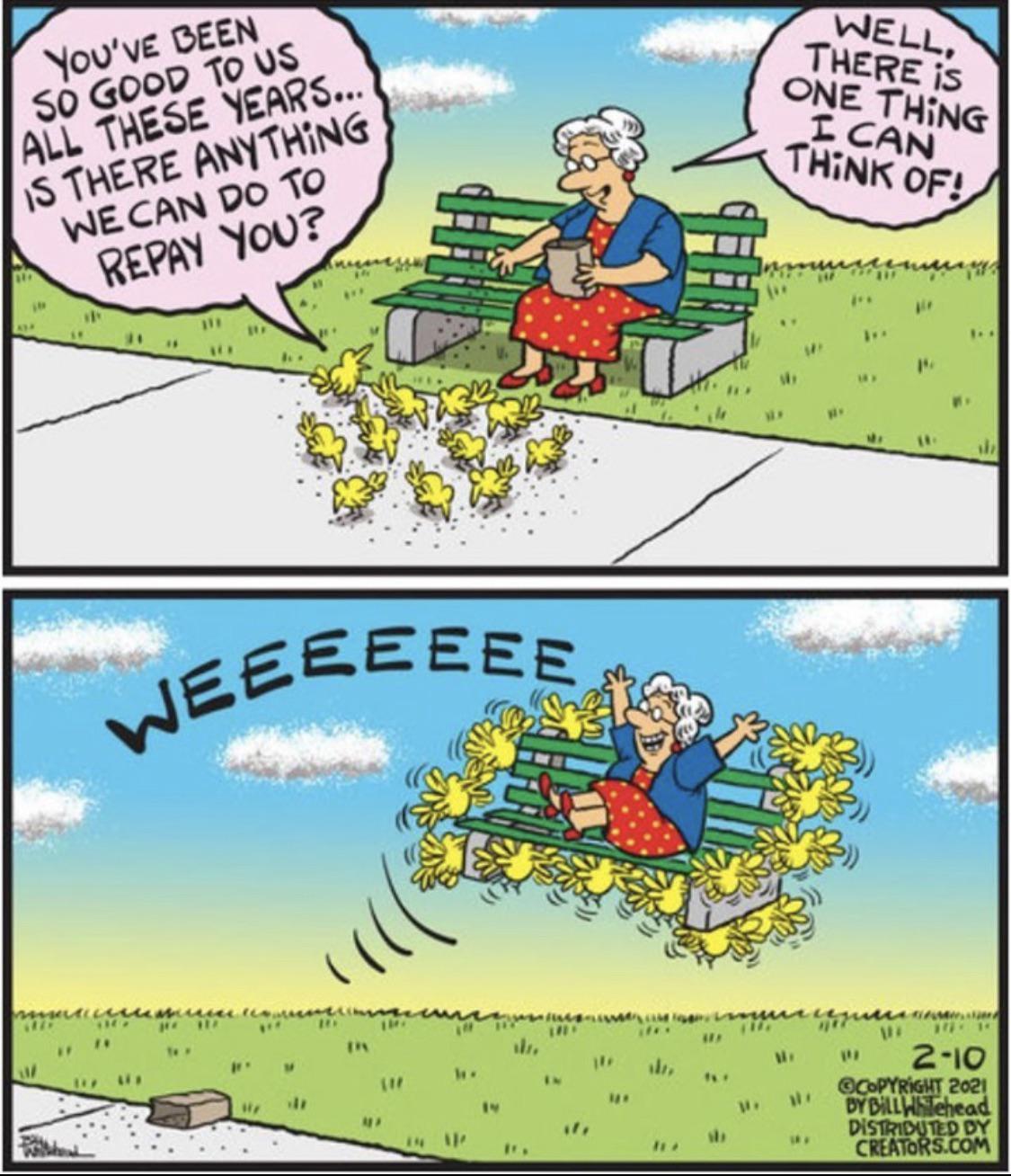 Flying High (Credit to Bill Whitehead) | /r/wholesomememes | Wholesome ...