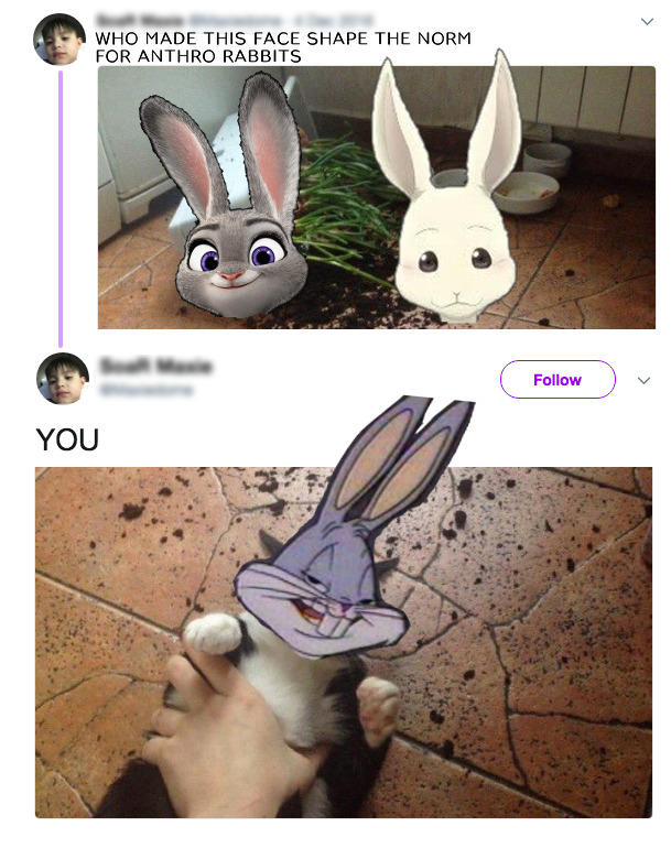 you... | Furries / Furry | Know Your Meme