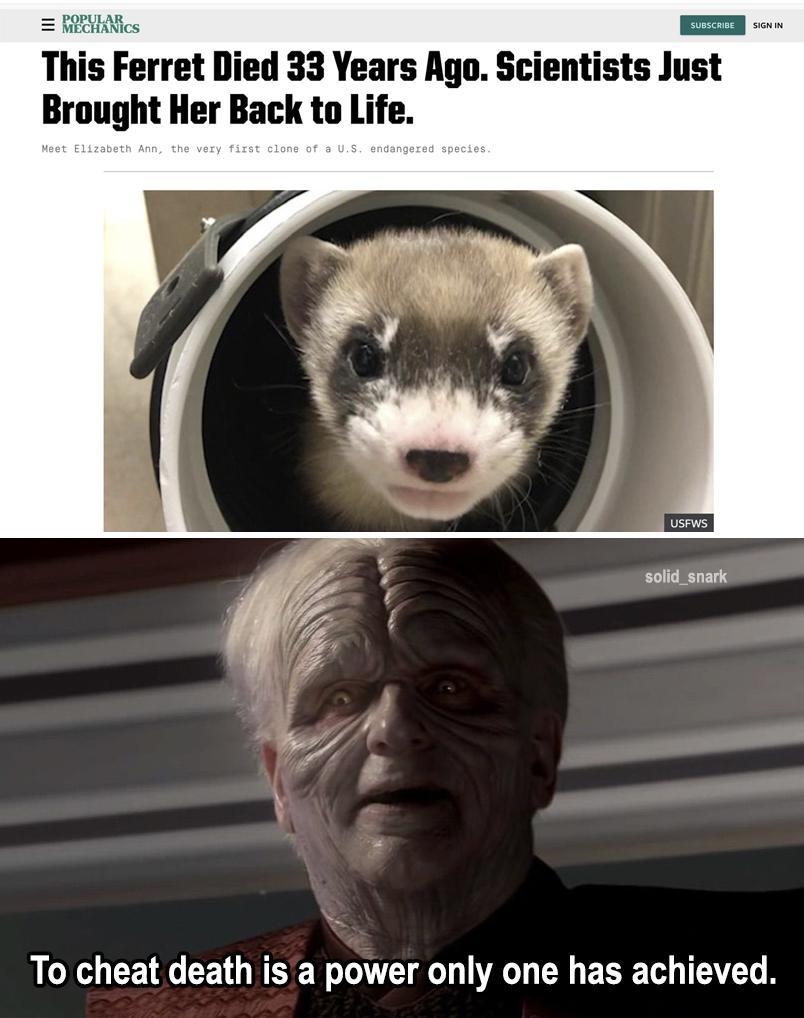 Cloning is a pathway to many abilities, most consider to be unnatural ...