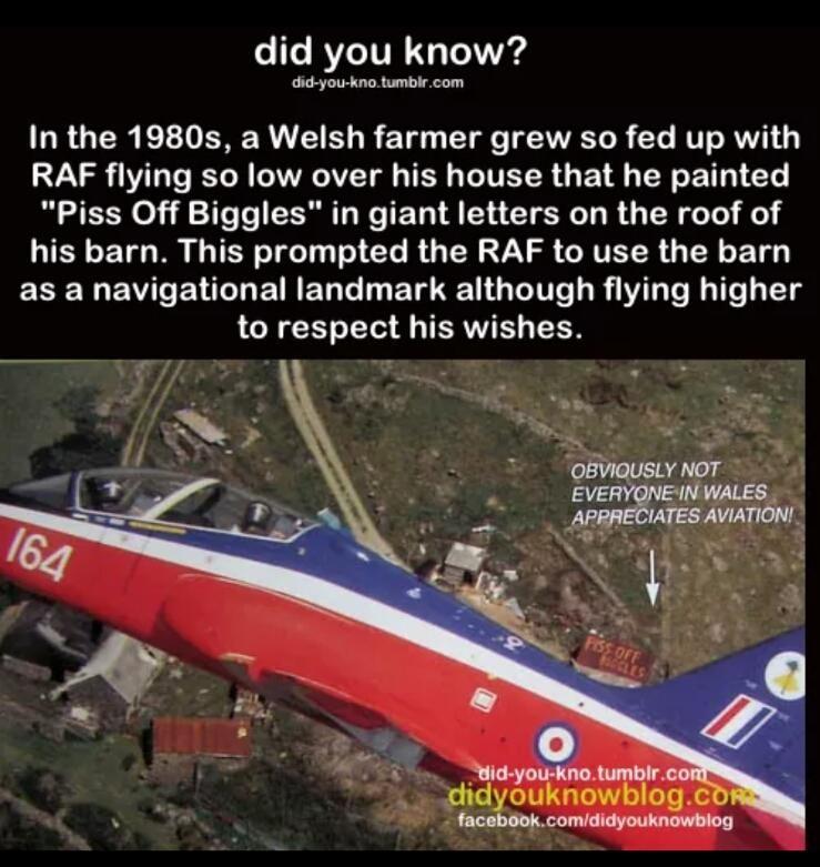 Piss Off Biggles | Did You Know? | Know Your Meme