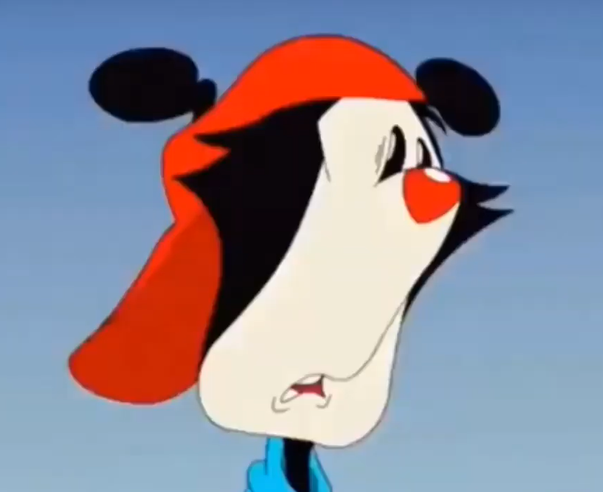 Kronk Wakko | Animaniacs | Know Your Meme