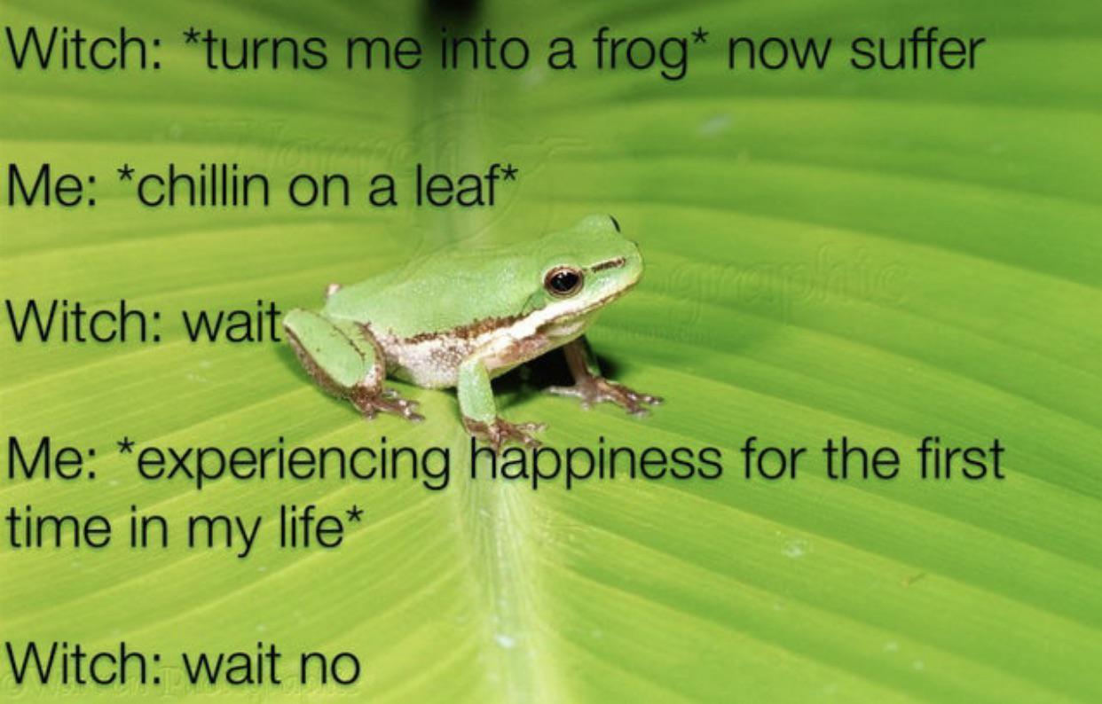 Be like frog | /r/wholesomememes | Wholesome Memes | Know Your Meme