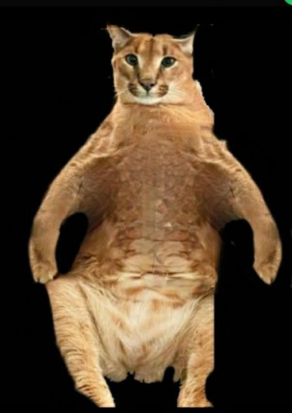 I made a Big Floppa character template! Hope y'all like it! | /r ...