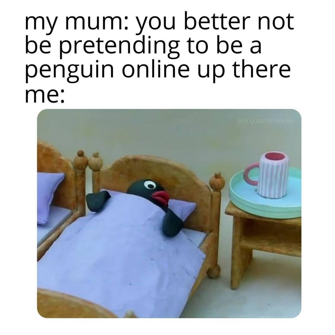 Guilty | Pingu | Know Your Meme
