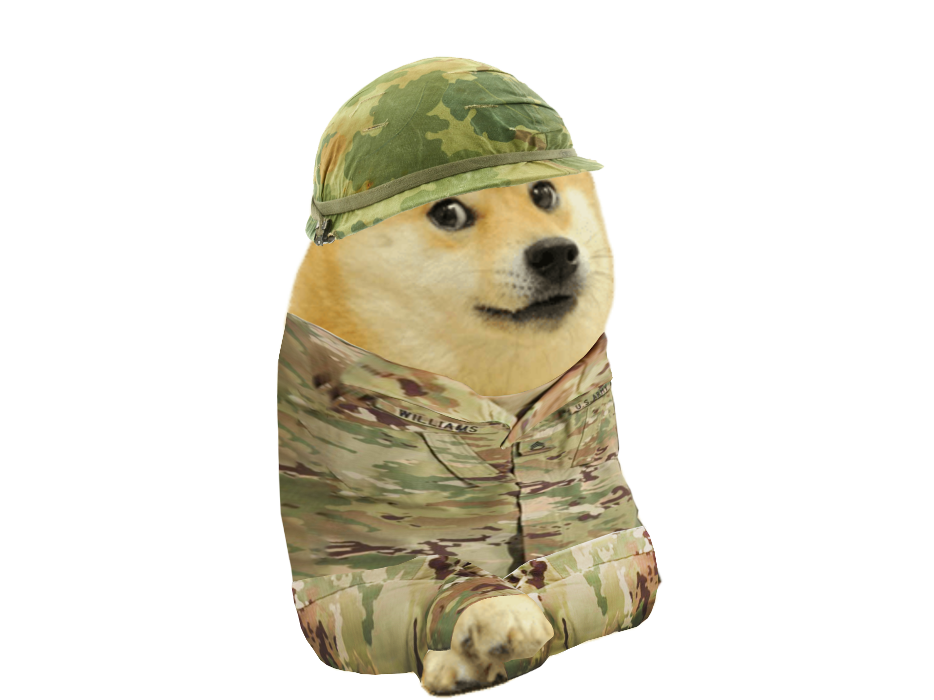 Le Vietnam war era American soldier has arrived | /r/dogelore | Ironic ...