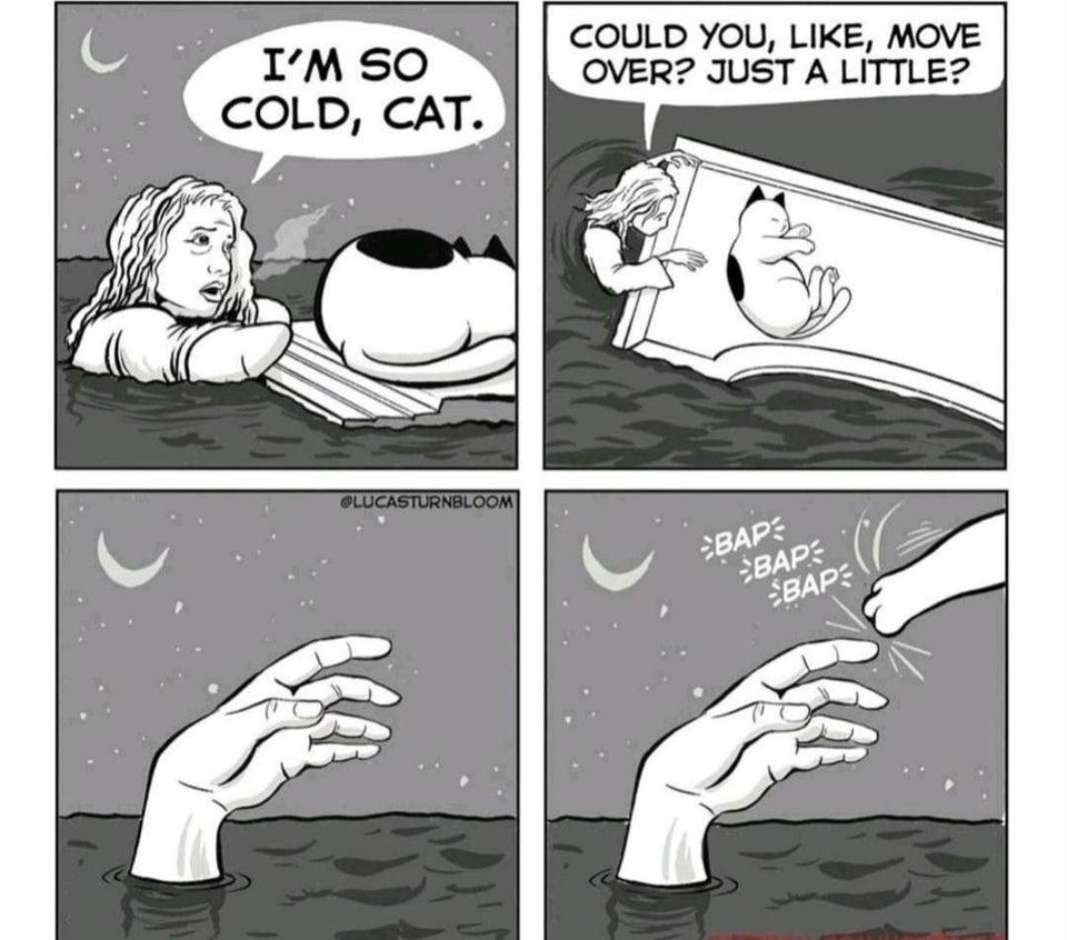 There's Room for Two | Cats | Know Your Meme