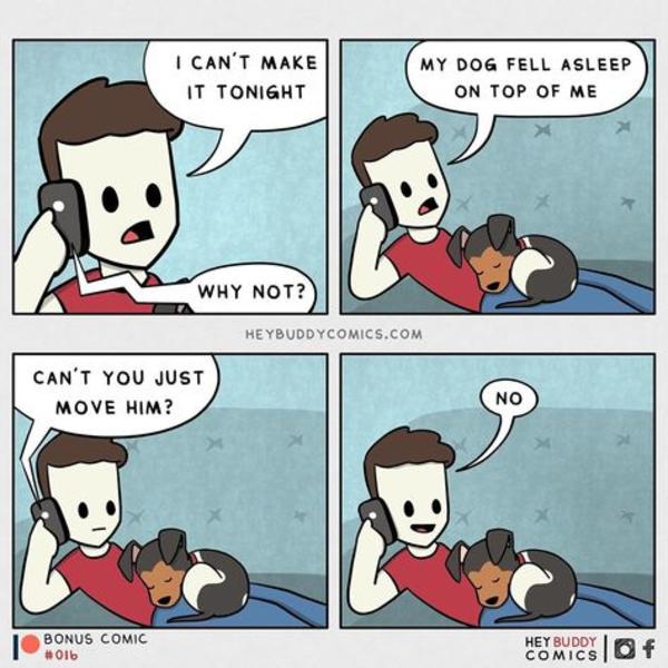 Well yes...but no (Hey Buddy Comics) | /r/wholesomememes | Wholesome ...