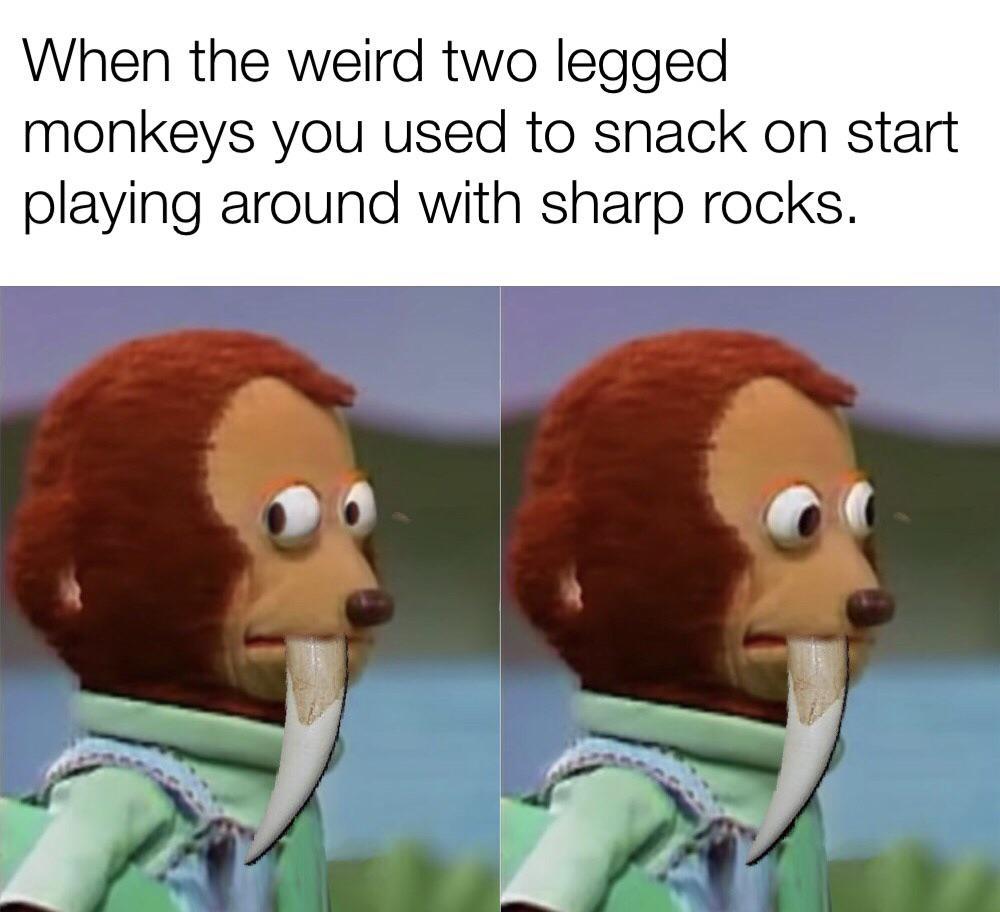 Ohhh shit | Awkward Look Monkey Puppet | Know Your Meme