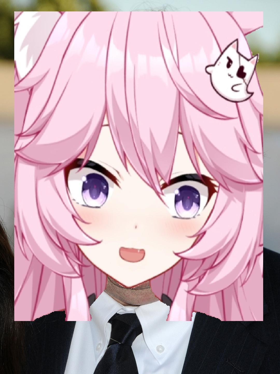 'Nyan Schneider' | Nyanners | Know Your Meme