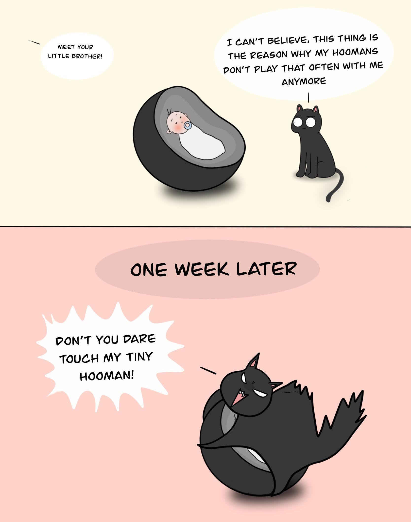 It’s mine now | /r/wholesomememes | Wholesome Memes | Know Your Meme