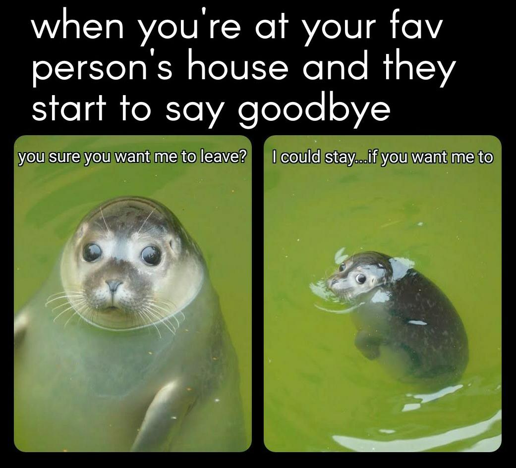 Goodbyes are hard | /r/wholesomememes | Wholesome Memes | Know Your Meme