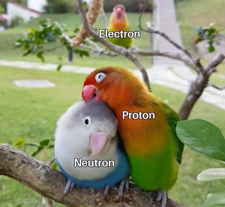 Atomic Structure | Science | Know Your Meme