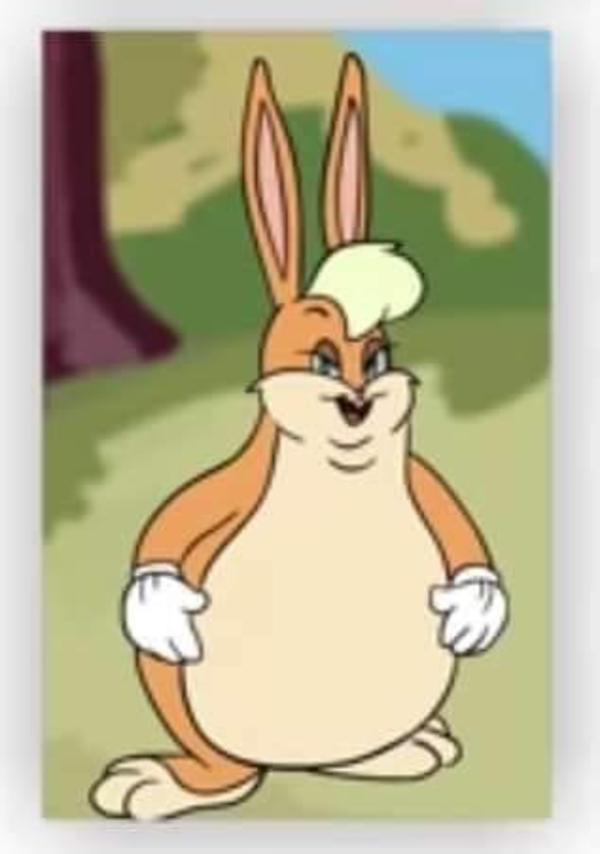 the chungus is equal opportunity | Big Chungus | Know Your Meme