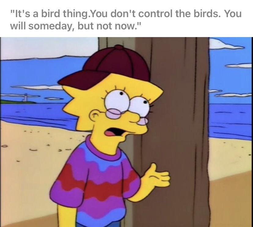 Need someone well-versed in bird law to look into this... | /r/IASIP ...