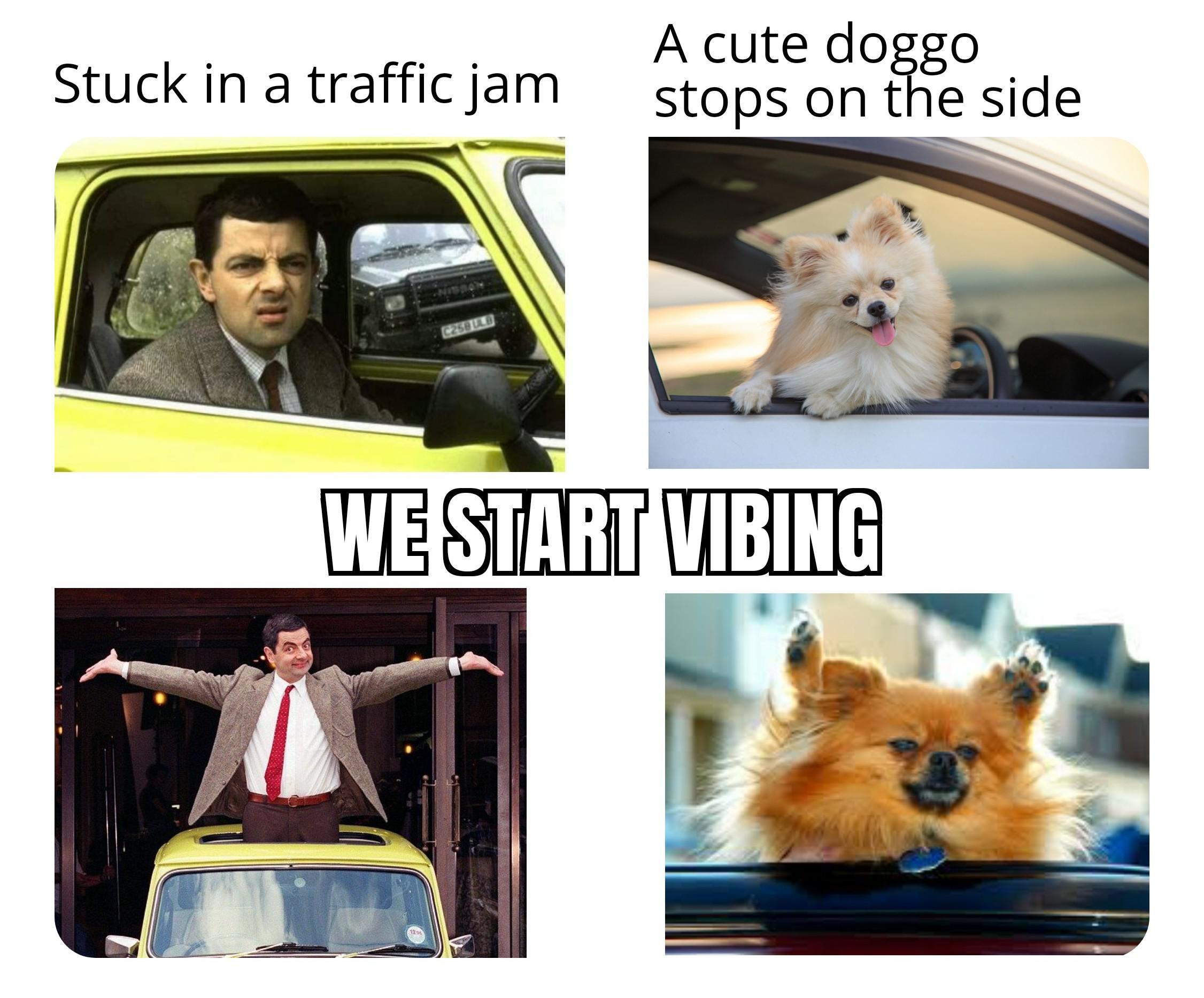 Traffic jam shenanigans. | /r/wholesomememes | Wholesome Memes | Know ...