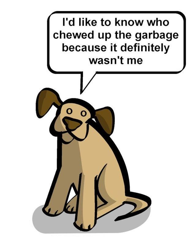 Unsolved Mystery | Dogs | Know Your Meme
