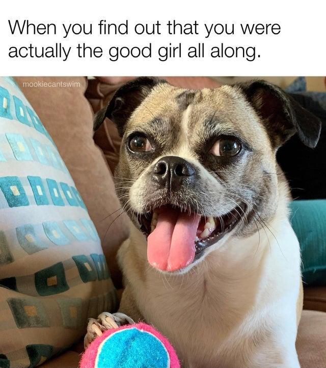 About Time! | Dogs | Know Your Meme