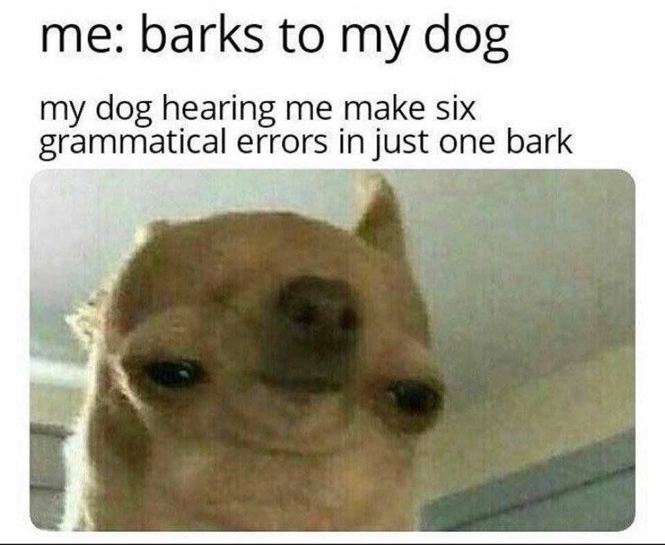 Woof | Dogs | Know Your Meme