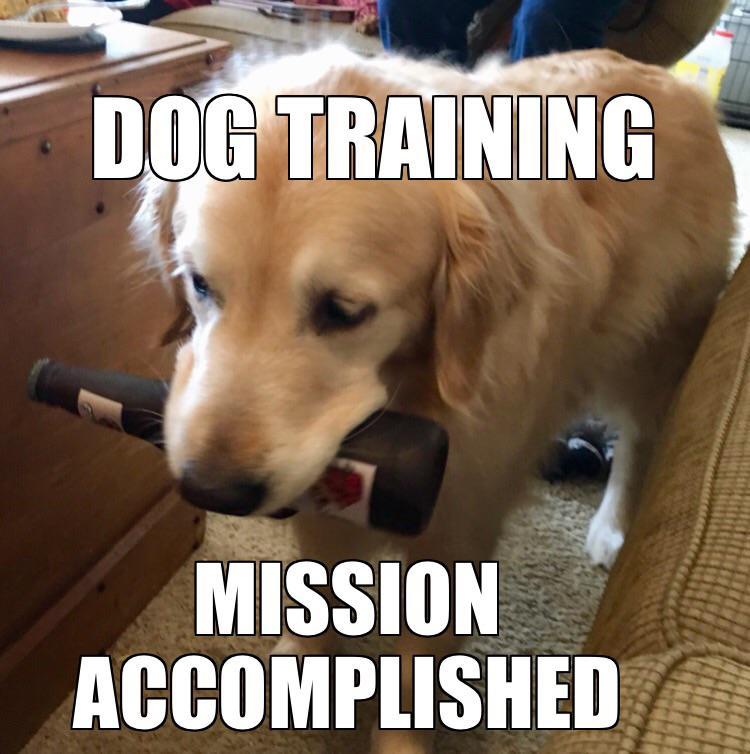 Good Dog | Dogs | Know Your Meme