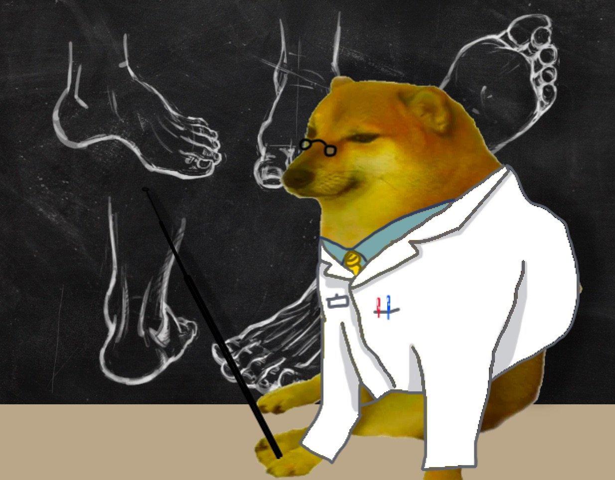 Professor Cheems | Cheems | Know Your Meme