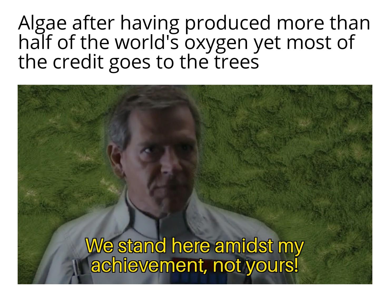 Coastal wetlands absorb more carbon than forests do, yet we do nothing ...