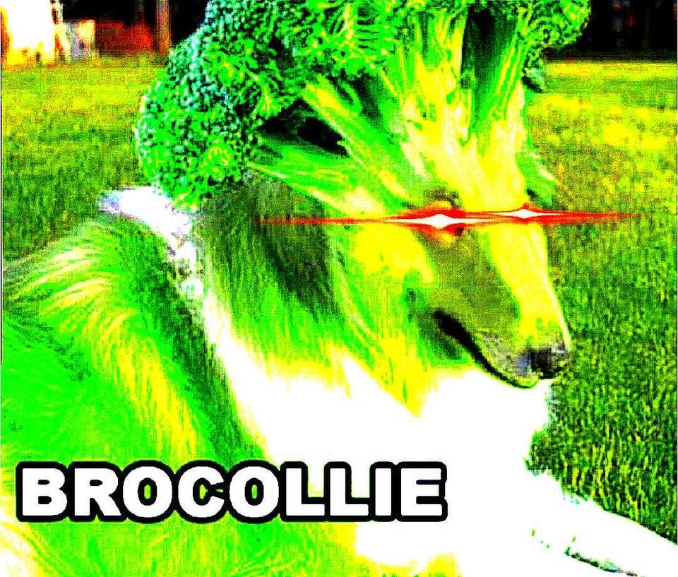 Brocollie | Deep Fried Memes | Know Your Meme