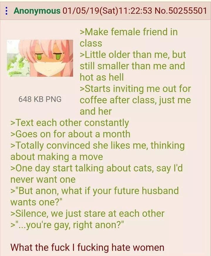 Anon has a new femanon friend | /r/Greentext | Greentext Stories | Know ...