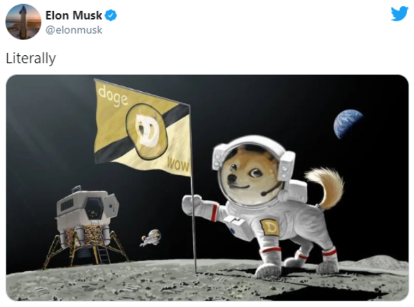 Elon Musk Dogecoing tweet | Dogecoin | Know Your Meme