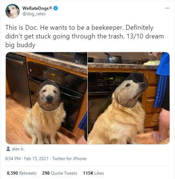 Bee Keeper | Dogs | Know Your Meme