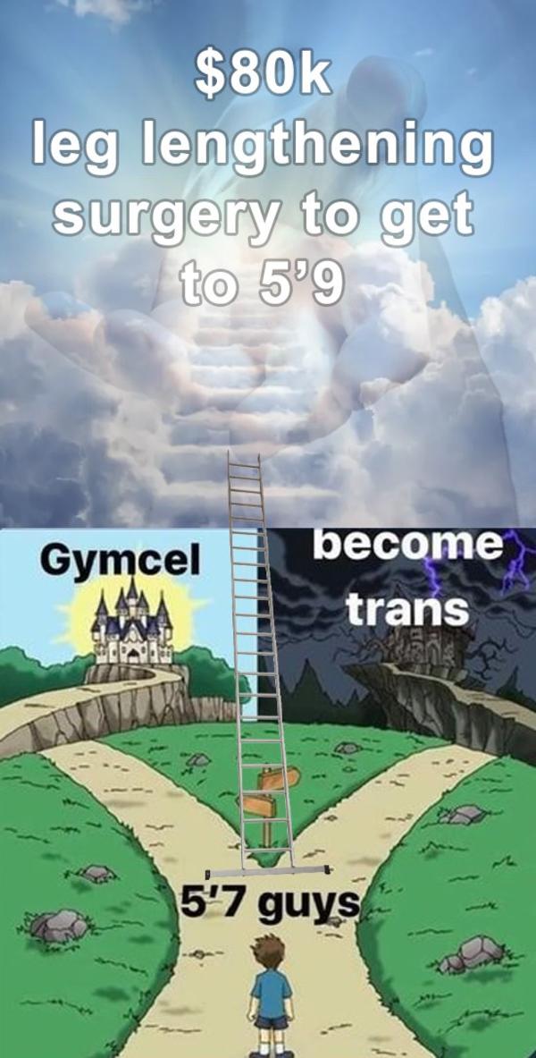 The Third Option | Dramatic Crossroads | Know Your Meme