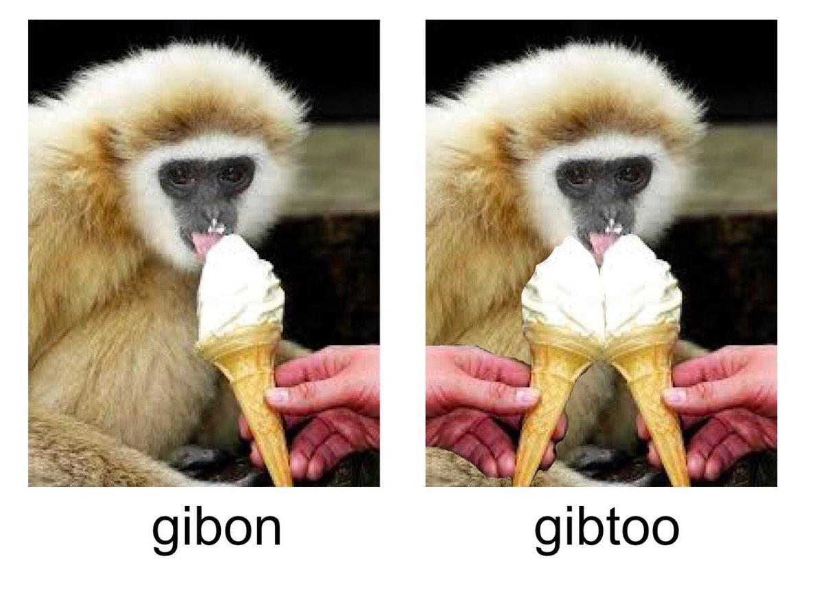 Gibbon | Pun | Know Your Meme