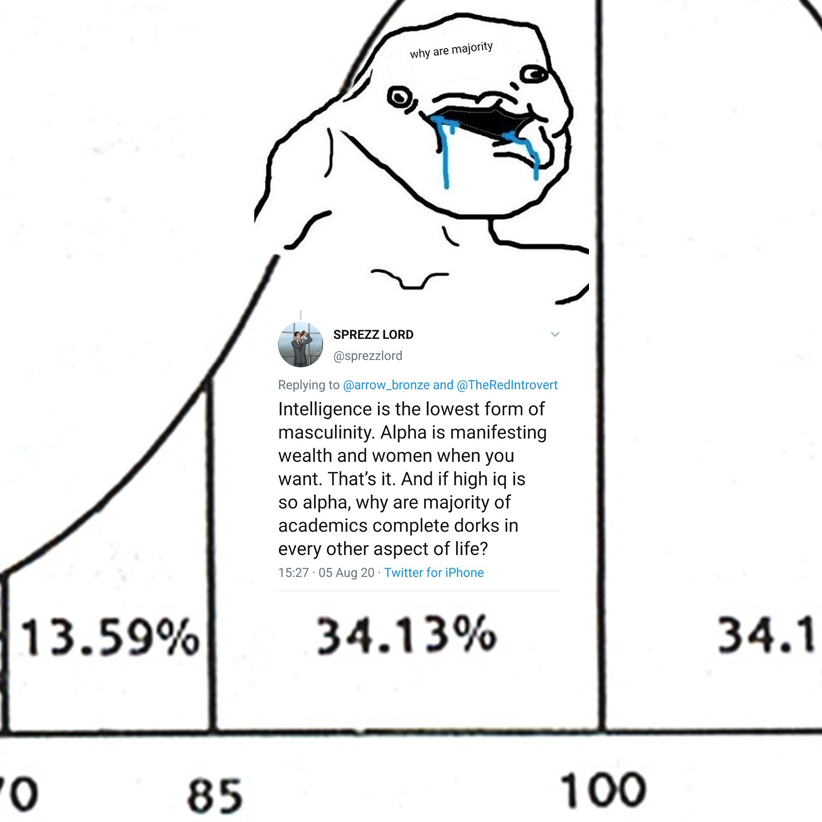 "lowest form of masculinity" | IQ Bell Curve / Midwit | Know Your Meme